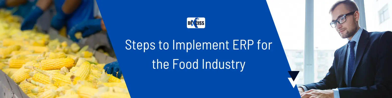 Steps to Implement Food ERP | ERP Software for Food Industry