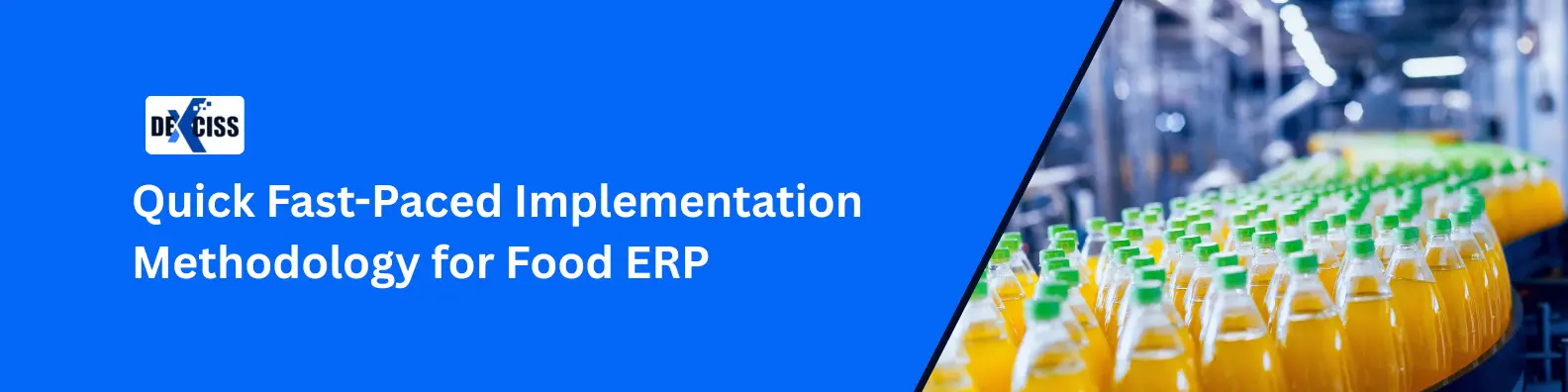 Food ERP Implementation | Steps to Implement ERP for Food Industry